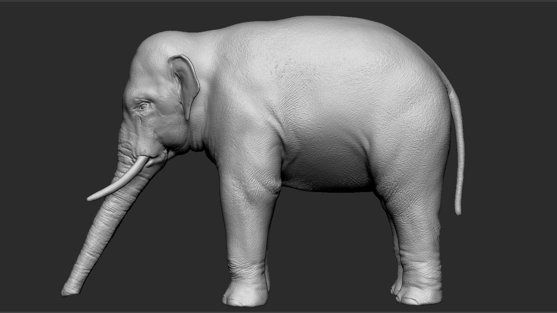 Realistic Elephant Model - TurboSquid 1271157