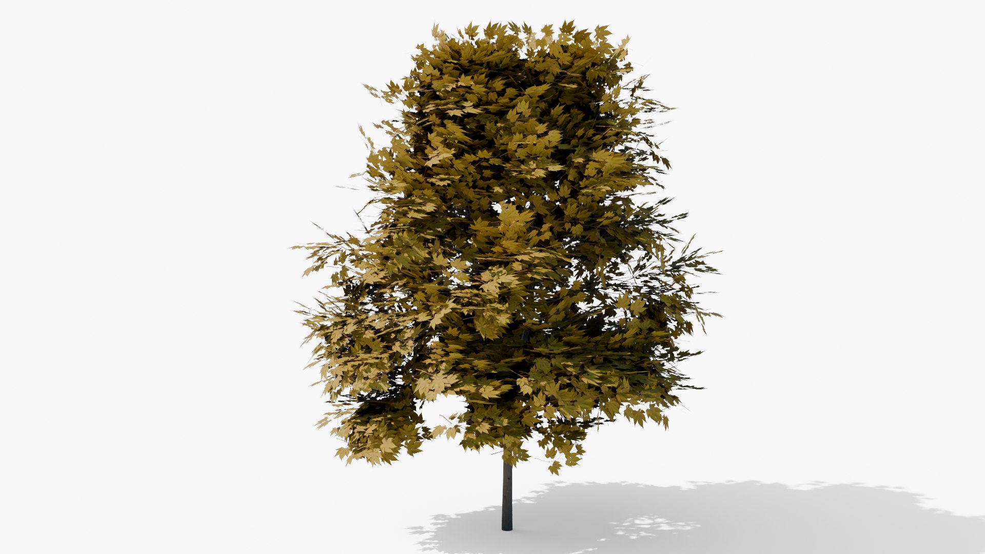 Trees Pack 3D - TurboSquid 2495577