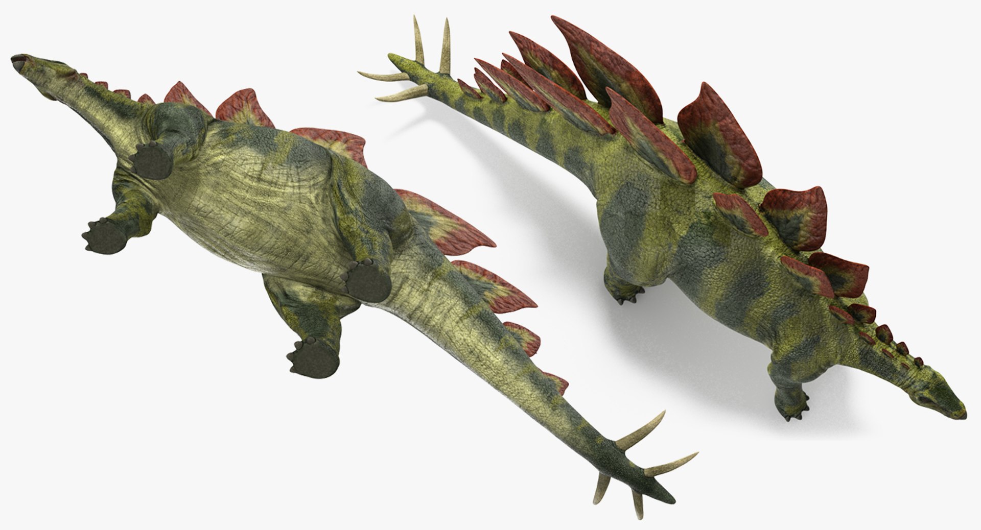 stegosaurus realistic 3ds