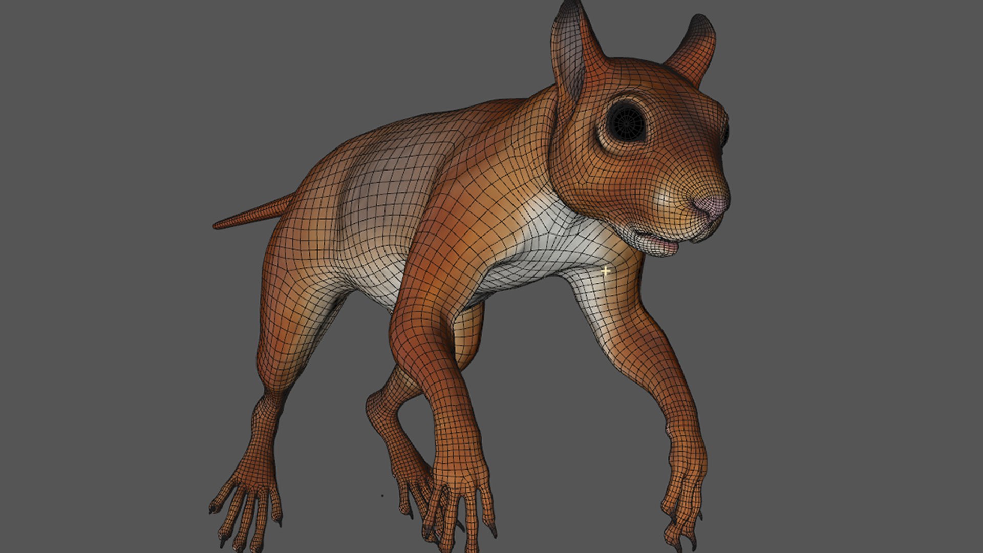 3D Red Squirrel Model - TurboSquid 1224122