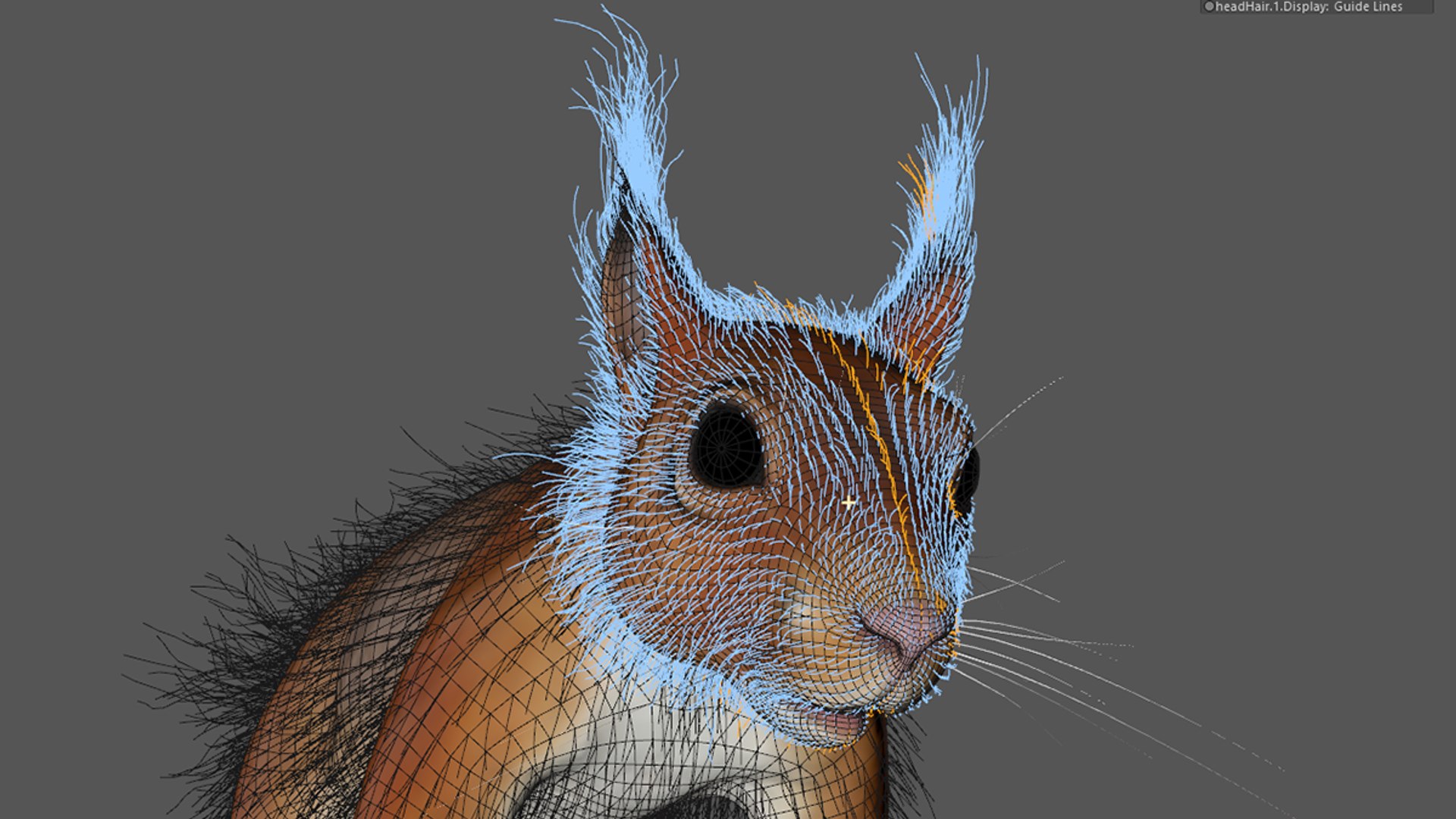 3D Red Squirrel Model - TurboSquid 1224122