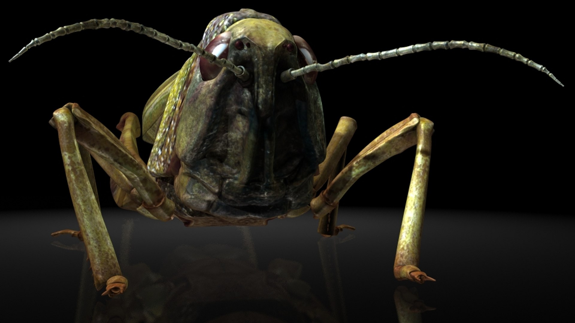 Locusts Model - TurboSquid 1313912