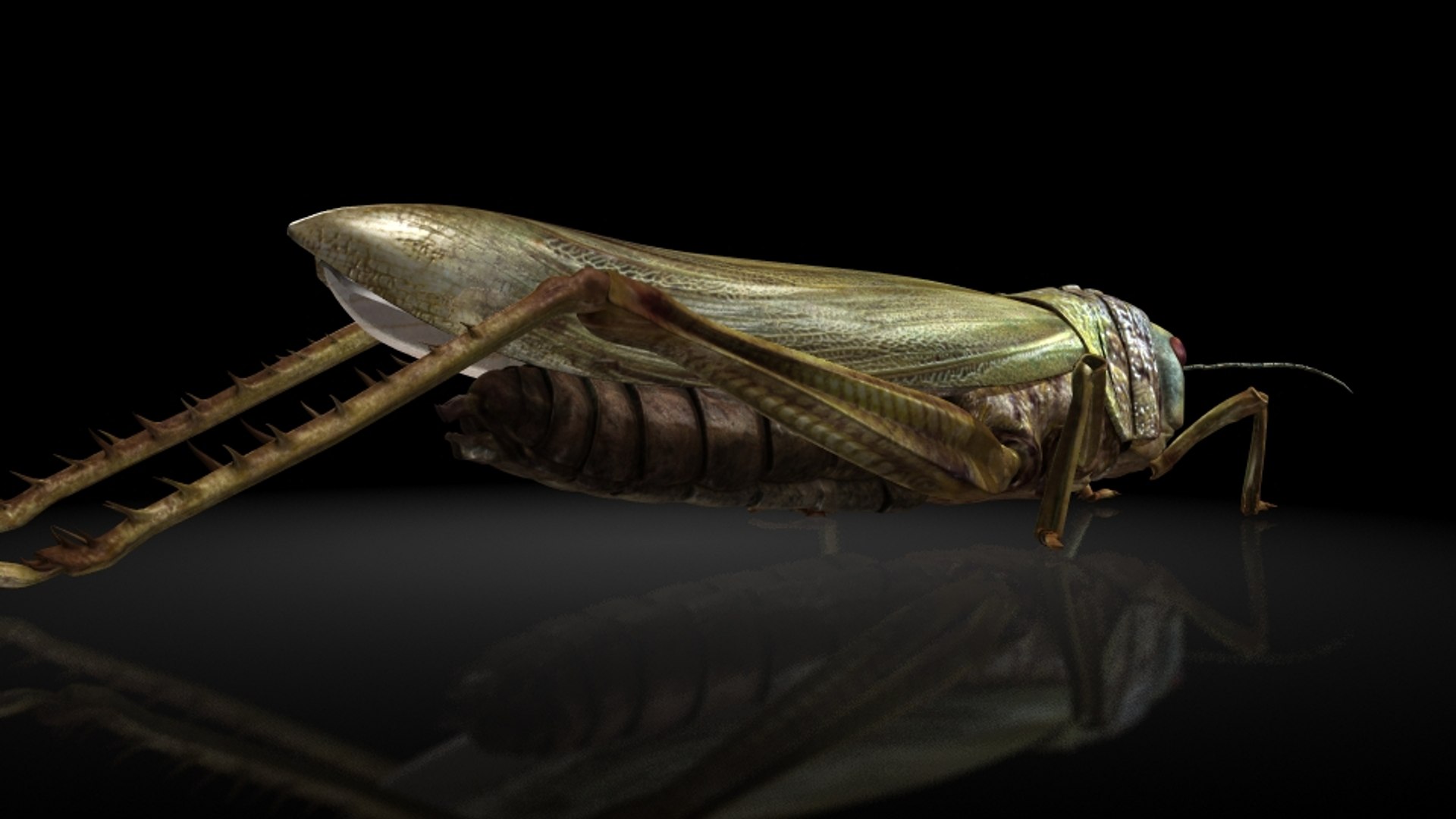 Locusts Model - TurboSquid 1313912