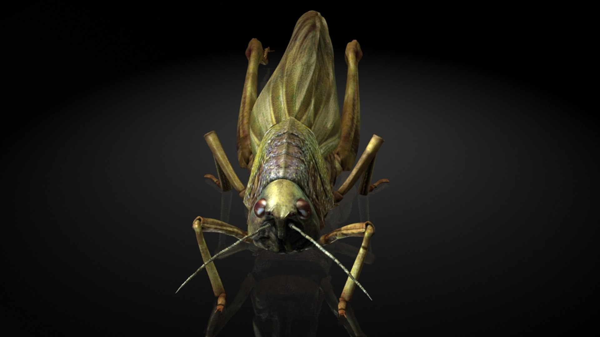 Locusts Model - TurboSquid 1313912
