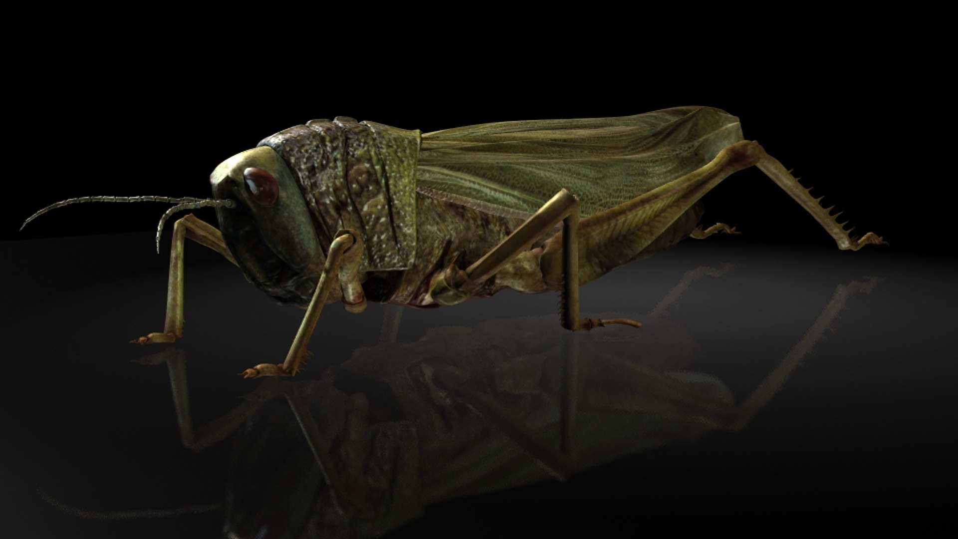 Locusts Model - TurboSquid 1313912