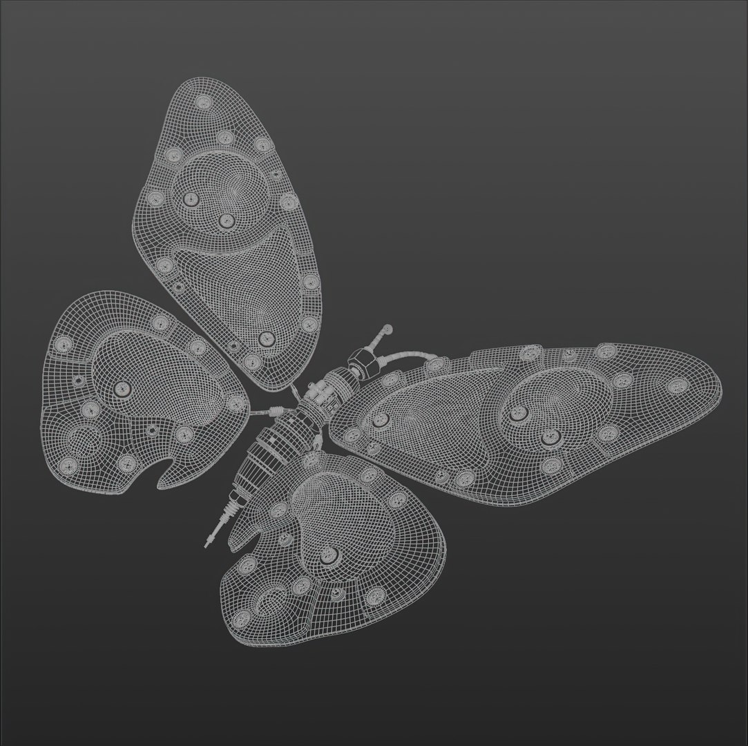 Butterfly 3D Model - TurboSquid 1976619