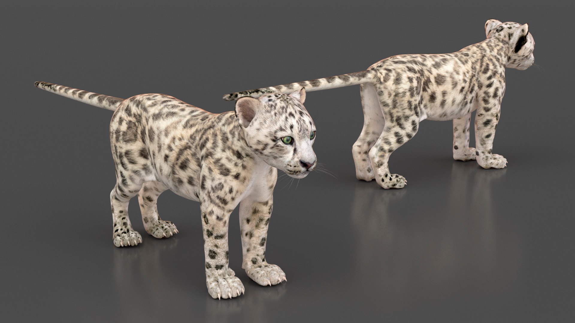 Snow Leopard Cub For 3D Print 3D Model - TurboSquid 2371787