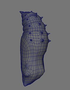 3D Cocoon Models | TurboSquid