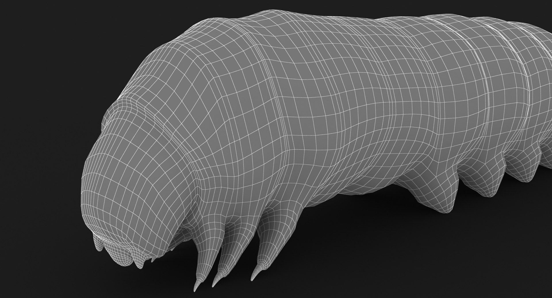 Realistic Caterpillars Model - TurboSquid 1173458