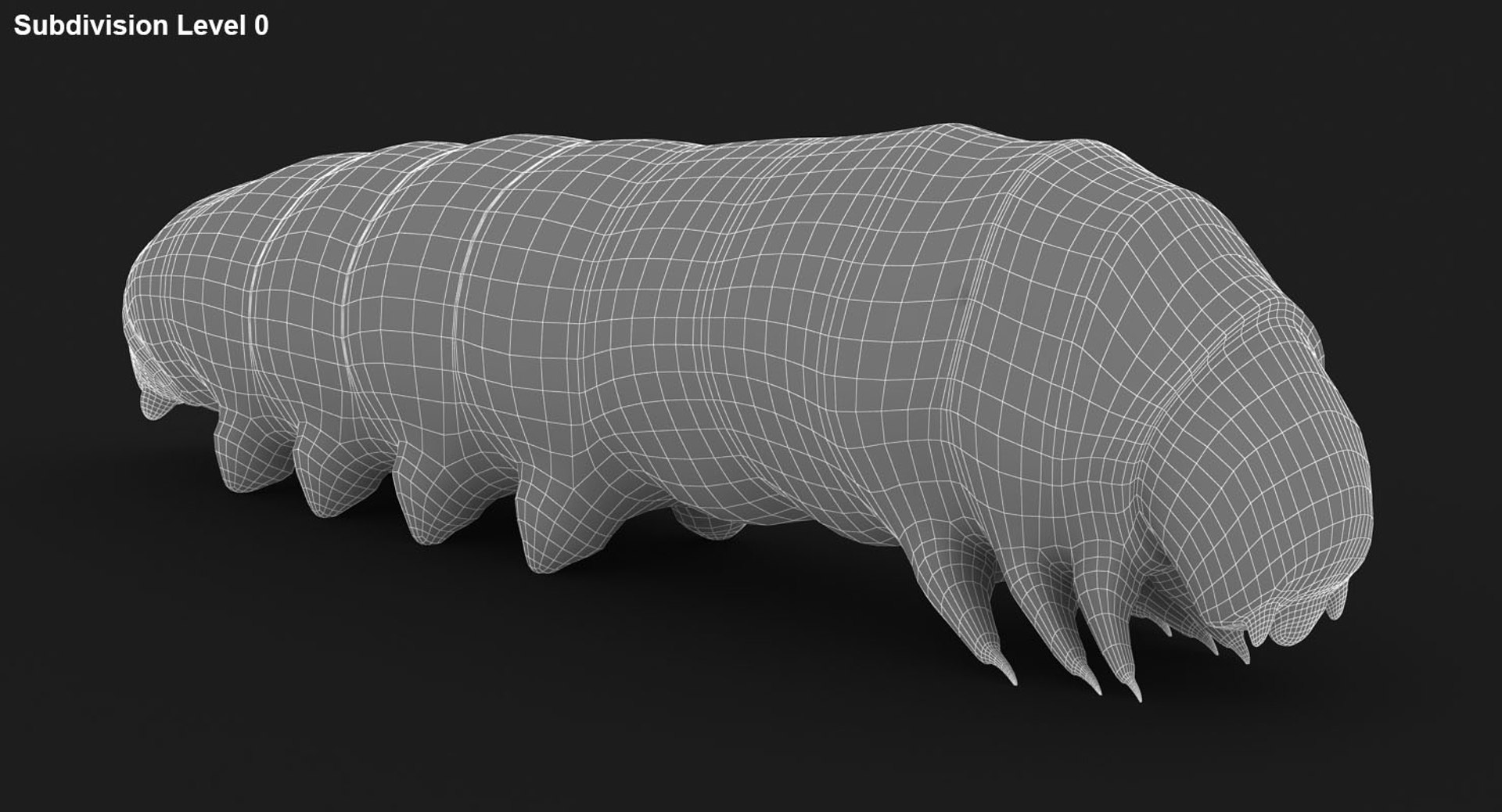 Realistic Caterpillars Model - TurboSquid 1173458