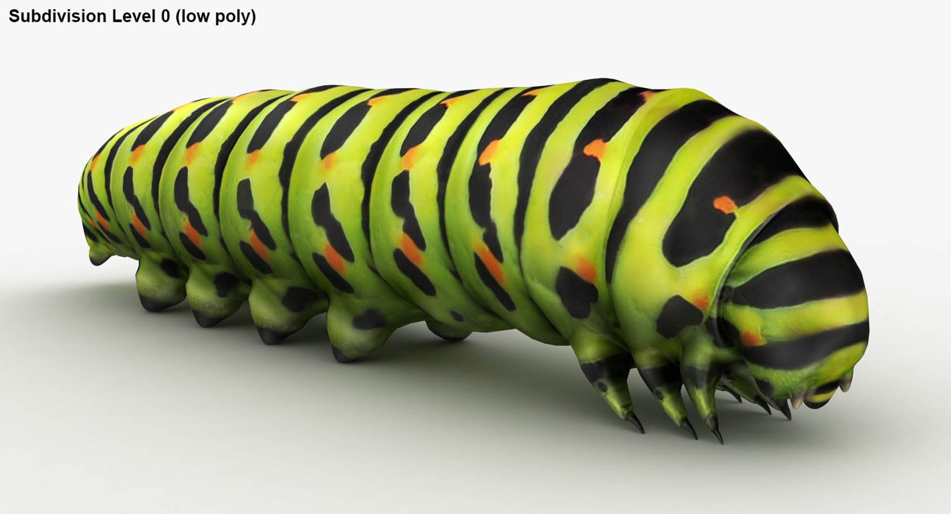 Realistic Caterpillars Model - TurboSquid 1173458