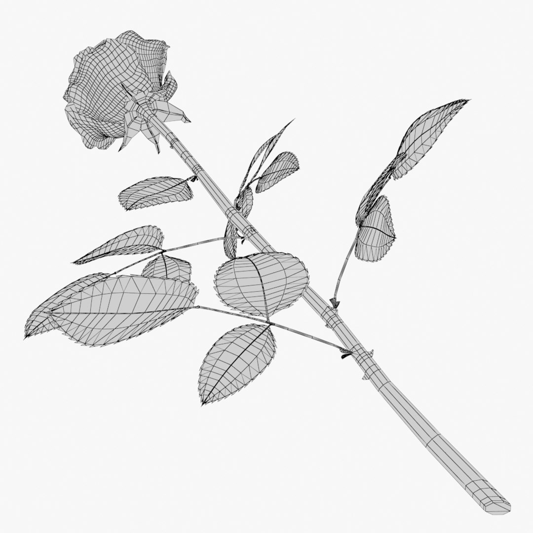 Rose 3D Model - TurboSquid 1152325