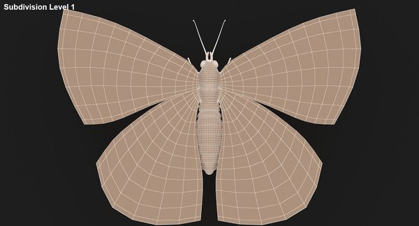 3D model realistic common blue butterfly - TurboSquid 1270992