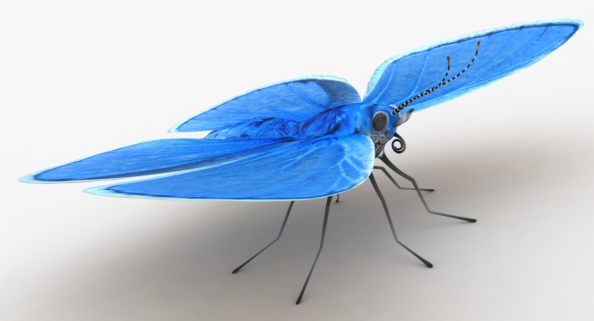 3D Model Realistic Common Blue Butterfly - TurboSquid 1270992