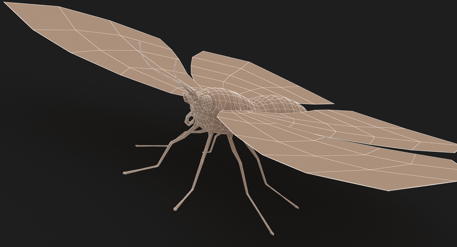 3D model realistic common blue butterfly - TurboSquid 1270992