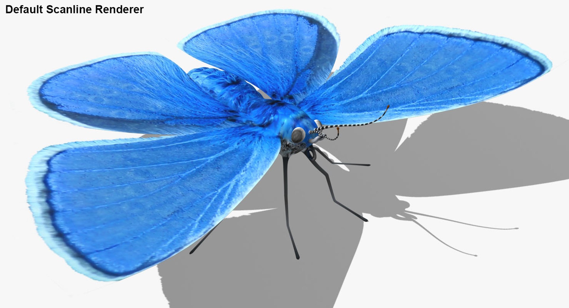 3D model realistic common blue butterfly - TurboSquid 1270992