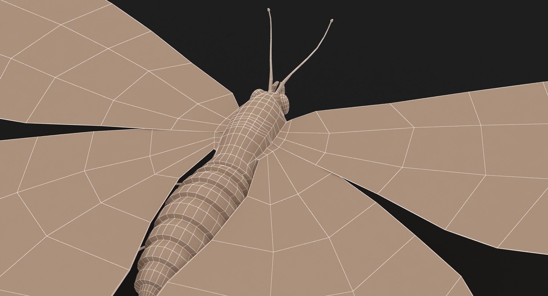 3D model realistic common blue butterfly - TurboSquid 1270992