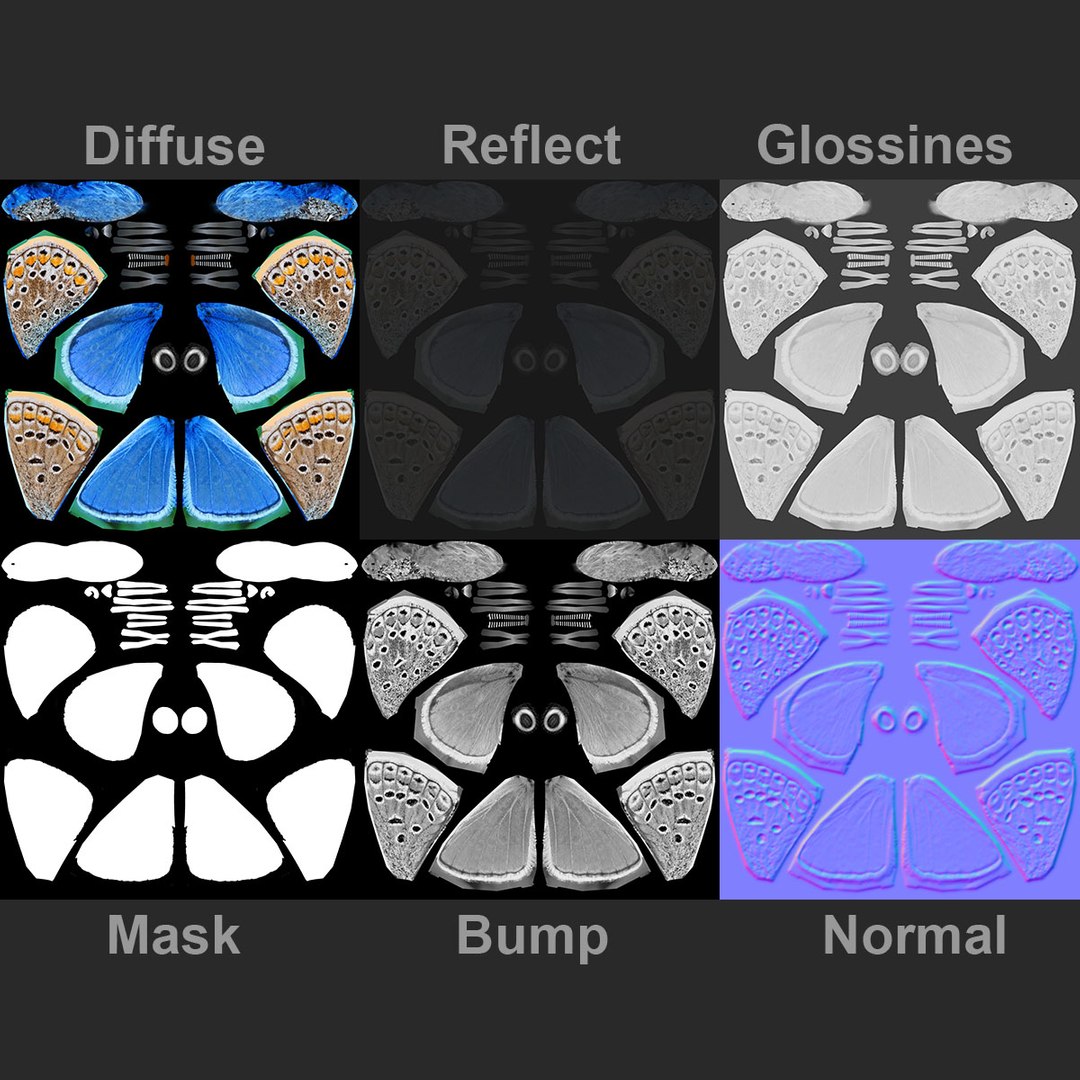 3D model realistic common blue butterfly - TurboSquid 1270992