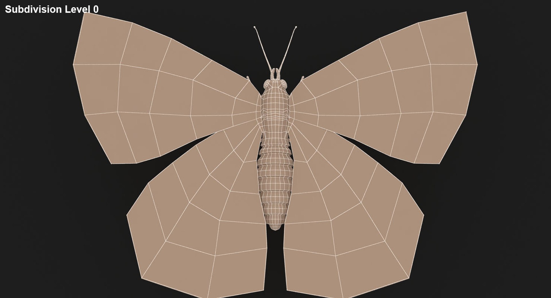 3D model realistic common blue butterfly - TurboSquid 1270992