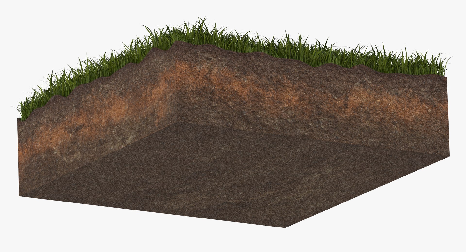 Grass Cross Section 04 3D Model - TurboSquid 1326774