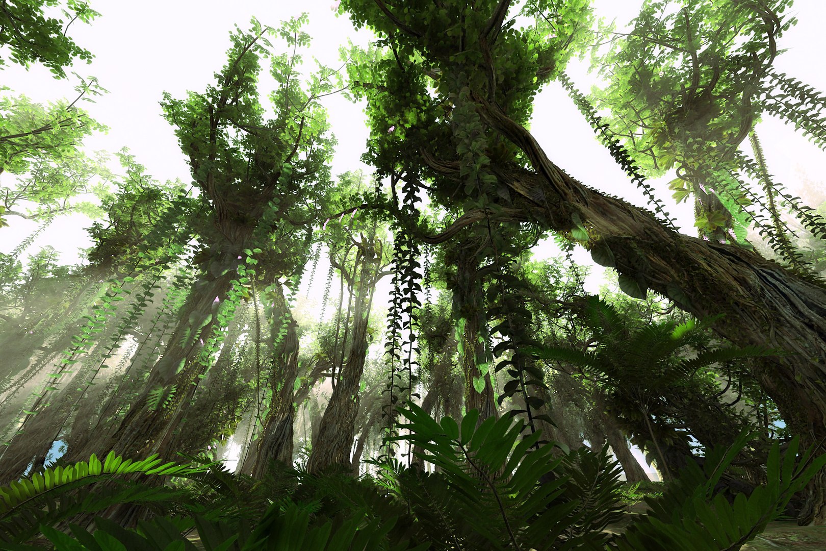 3d Model Rainforest Ultra Hd