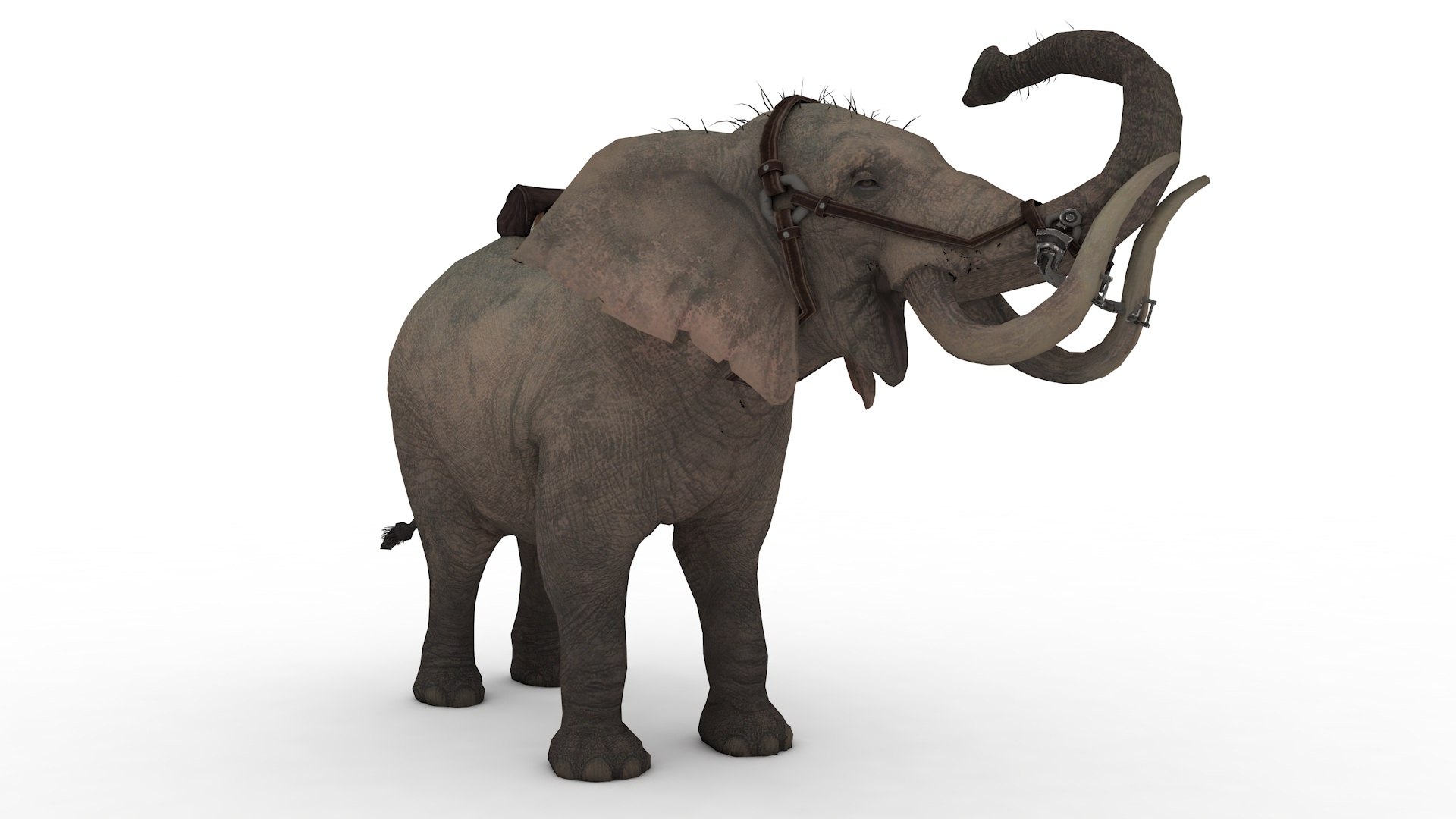 Elephant Rigged And Animated Model - TurboSquid 2391224