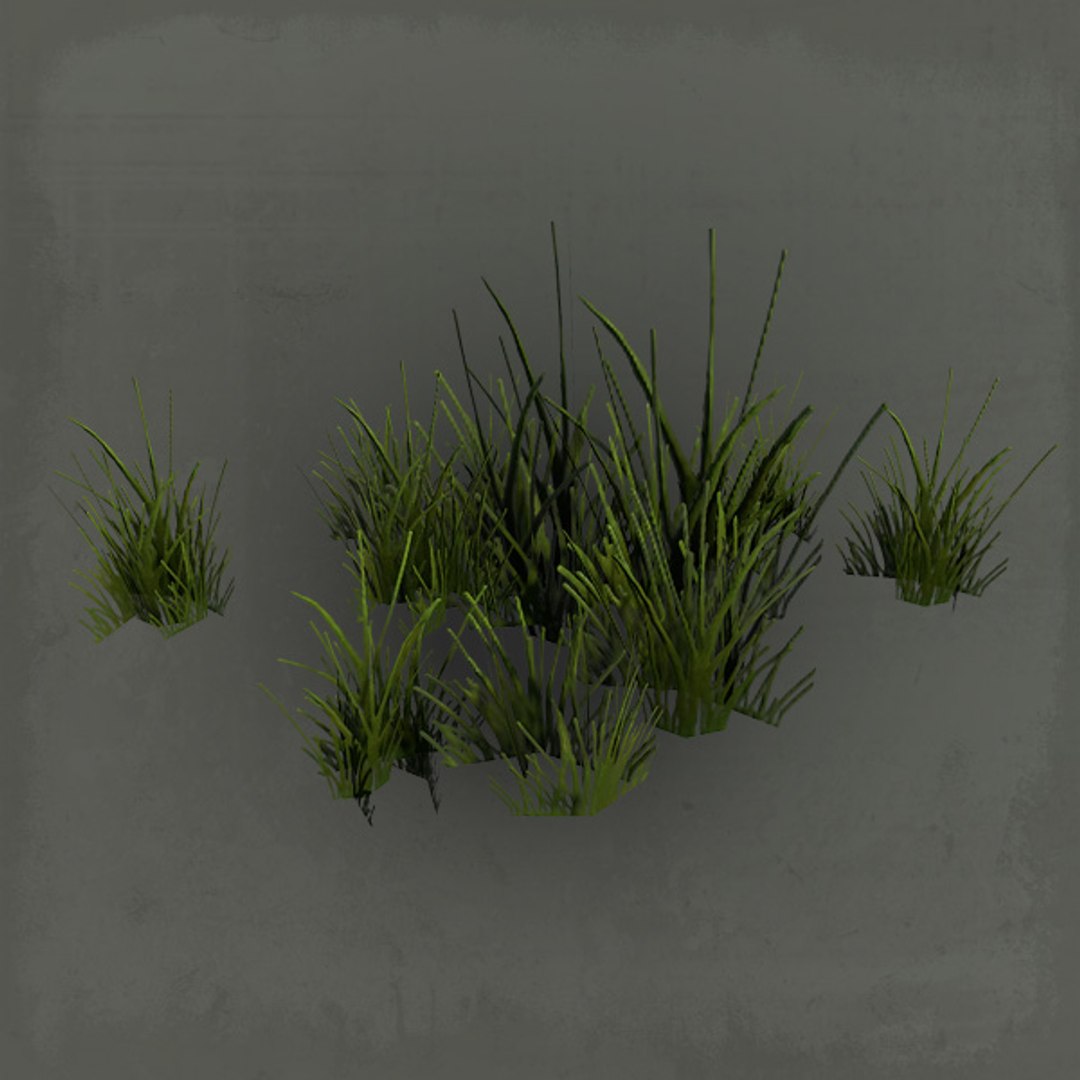 3d grass