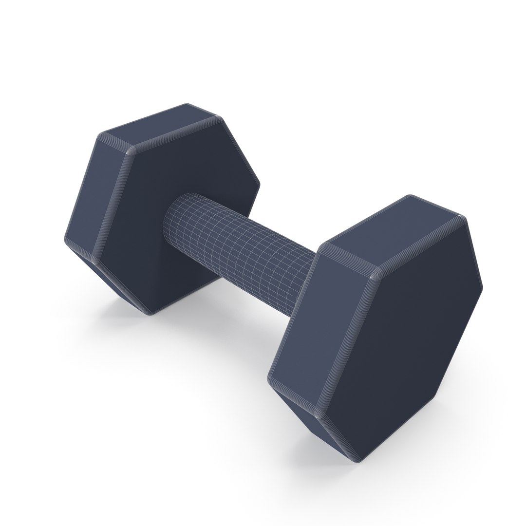 3D Dumbbell Model For Athletes And Artists Model - TurboSquid 2167407