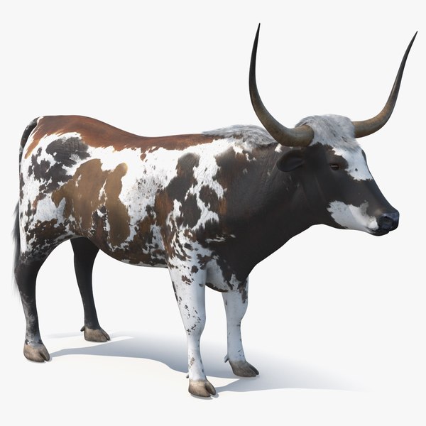modelo 3d Texas Longhorn Marrón Moteado - TurboSquid 2182961