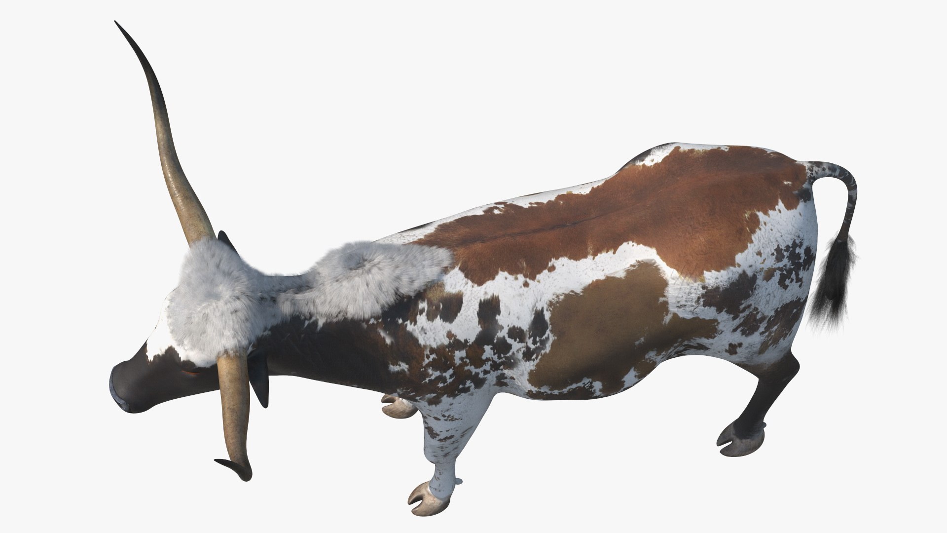 Texas Longhorn Mottled Brown 3D model - TurboSquid 2182961