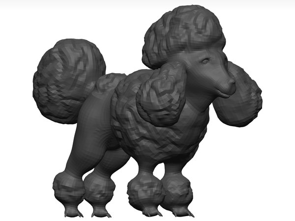 3D Poodle Models | TurboSquid