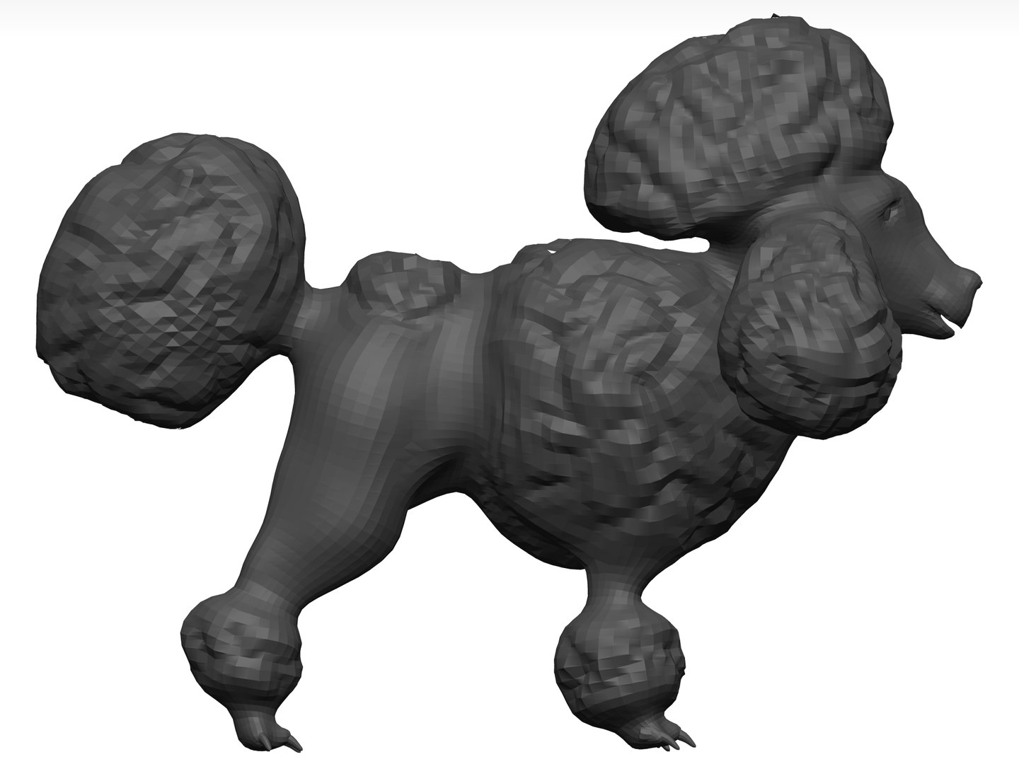 Poodle Stl 3D - TurboSquid 1774278