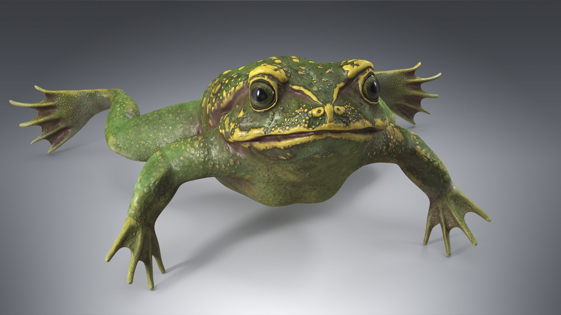 3D Green Frog Pbr Model - TurboSquid 1449436
