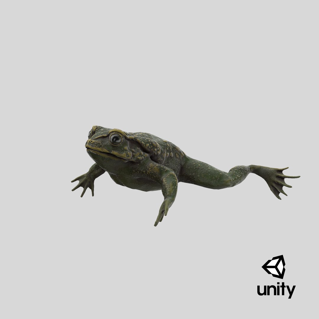 3D Green Frog Pbr Model - TurboSquid 1449436