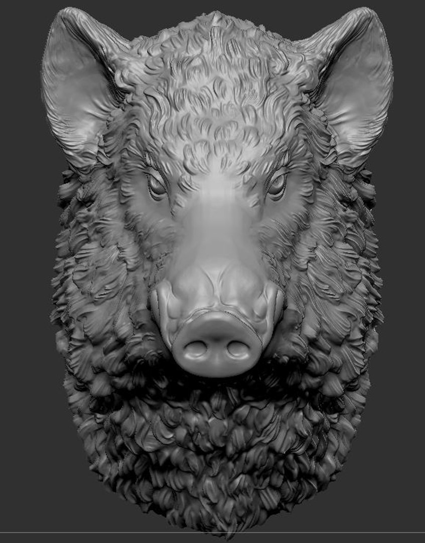 3D model boar head - TurboSquid 1225056