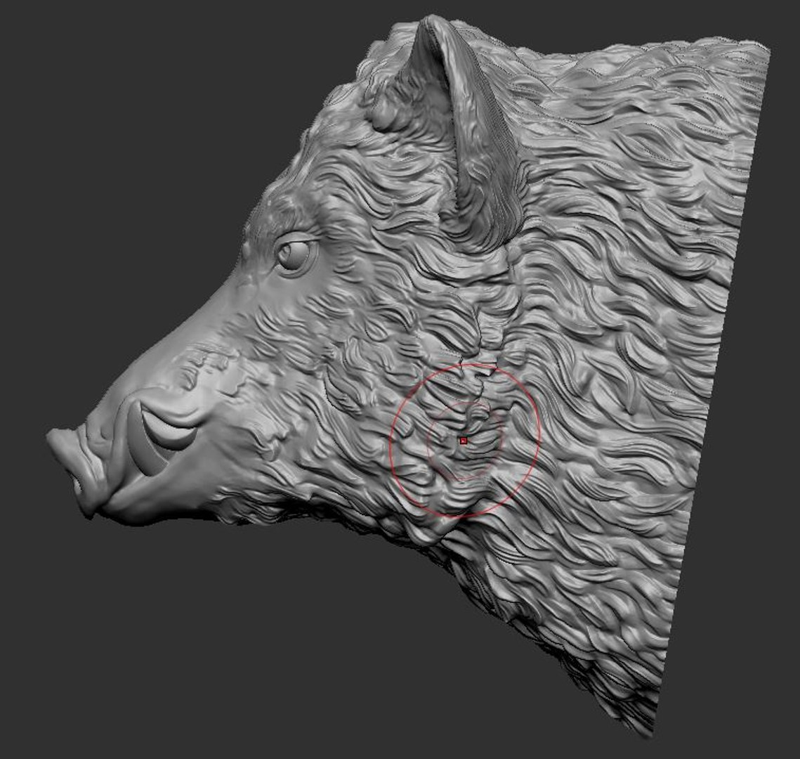 3D model boar head - TurboSquid 1225056