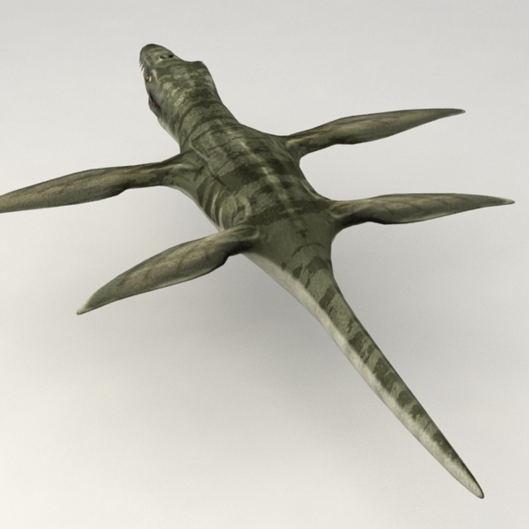 3d Model Pliosaurus Rigged