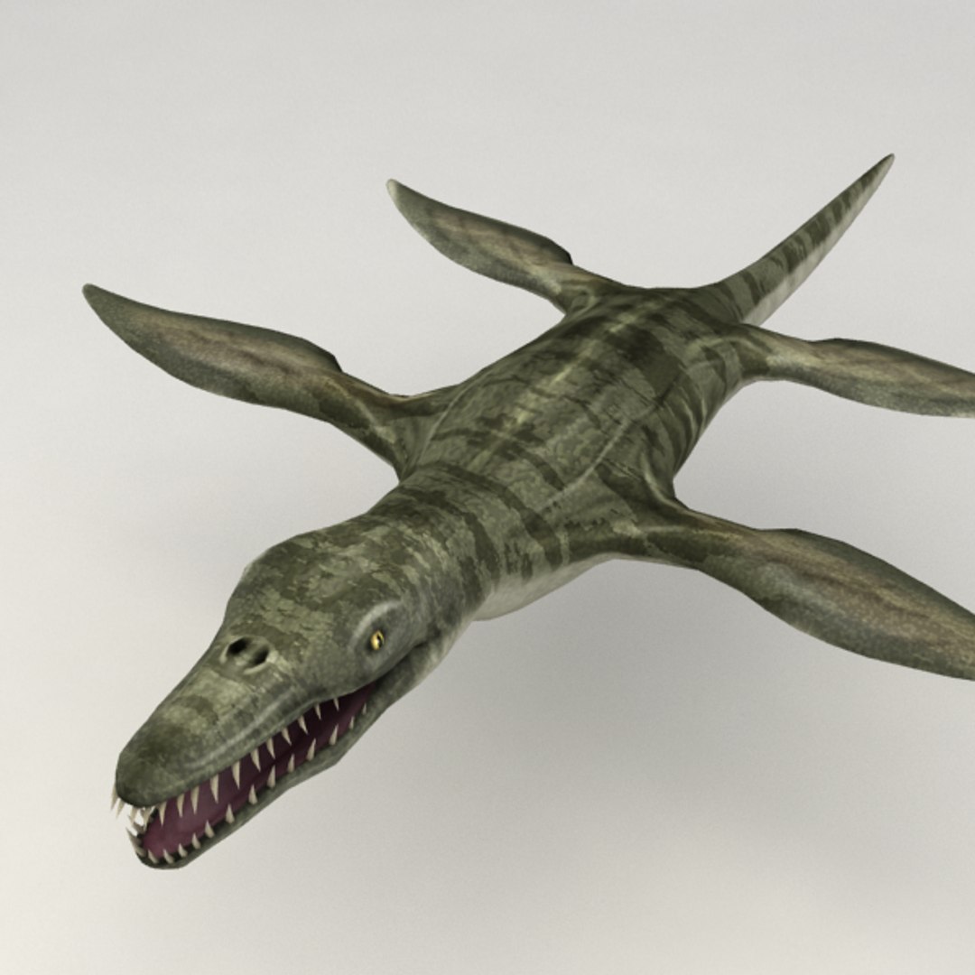 3d Model Pliosaurus Rigged