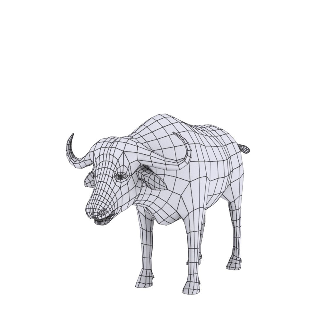 Cape Buffalo 3D Model - TurboSquid 1164717