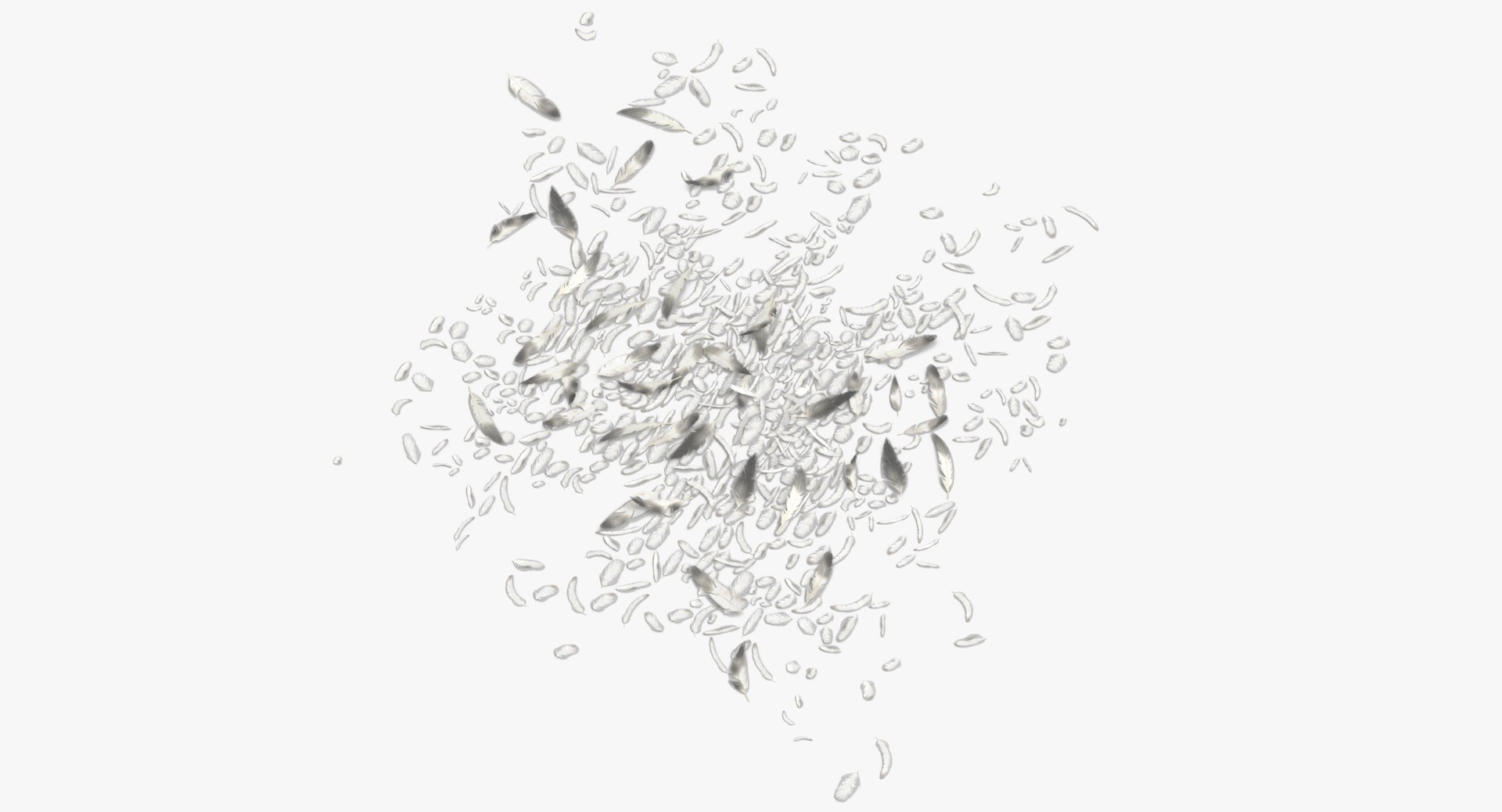 Scattered Feathers Large 3D Model - TurboSquid 1359061