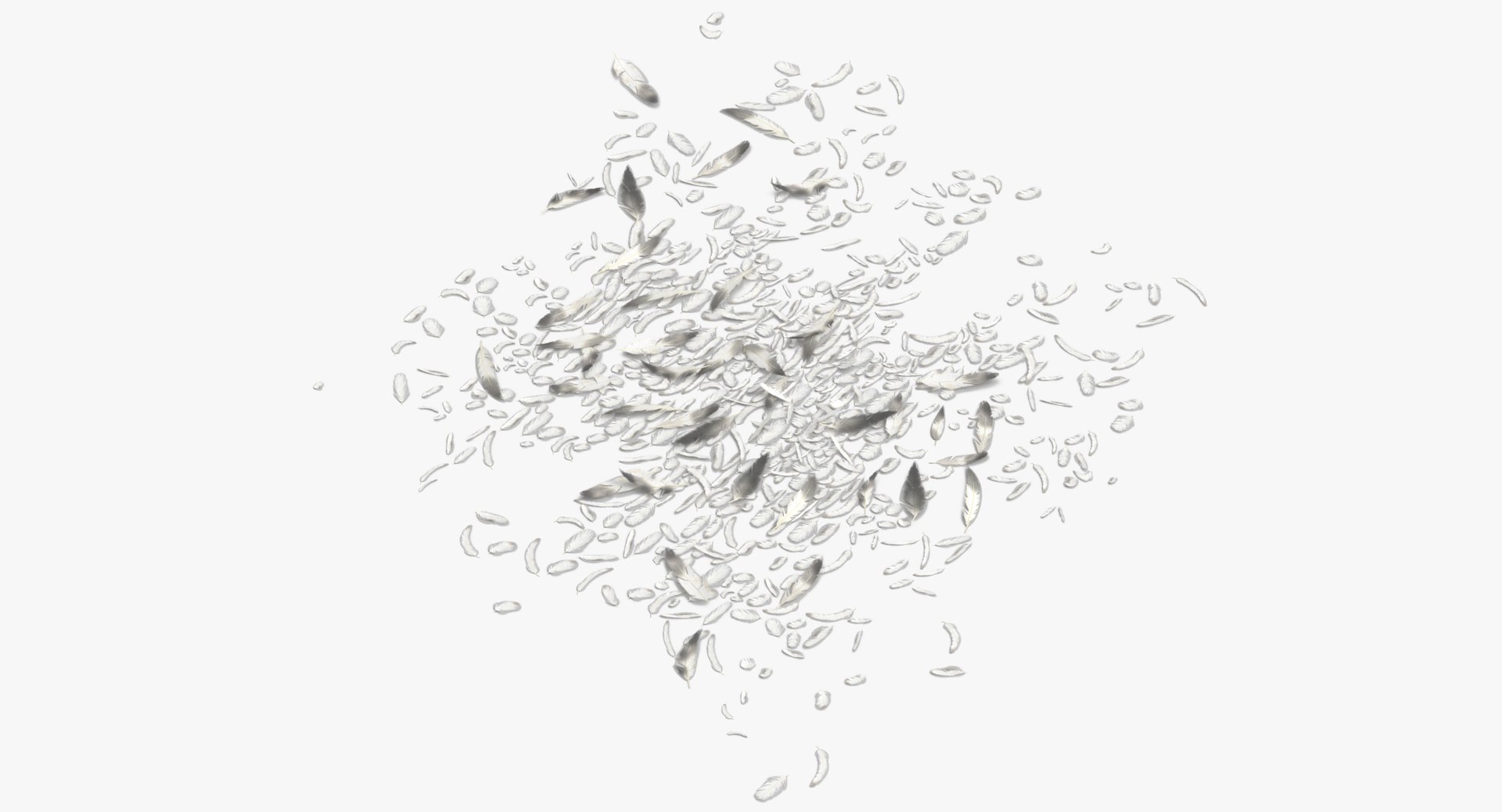 Scattered Feathers Large 3D Model - TurboSquid 1359061