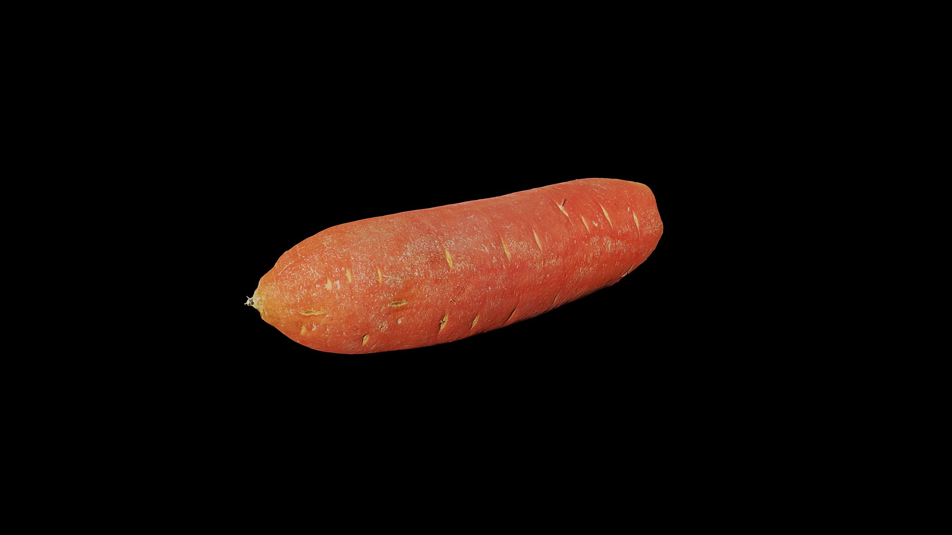 3D Anydrafts Daucus Carota Sativus 03 - TurboSquid 2322942