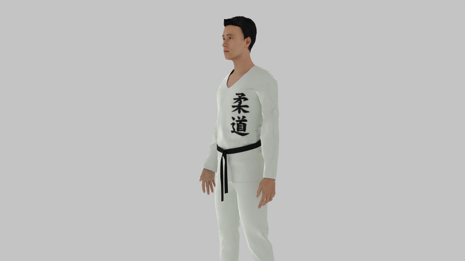 3D Karate Fighter Model - TurboSquid 1971052
