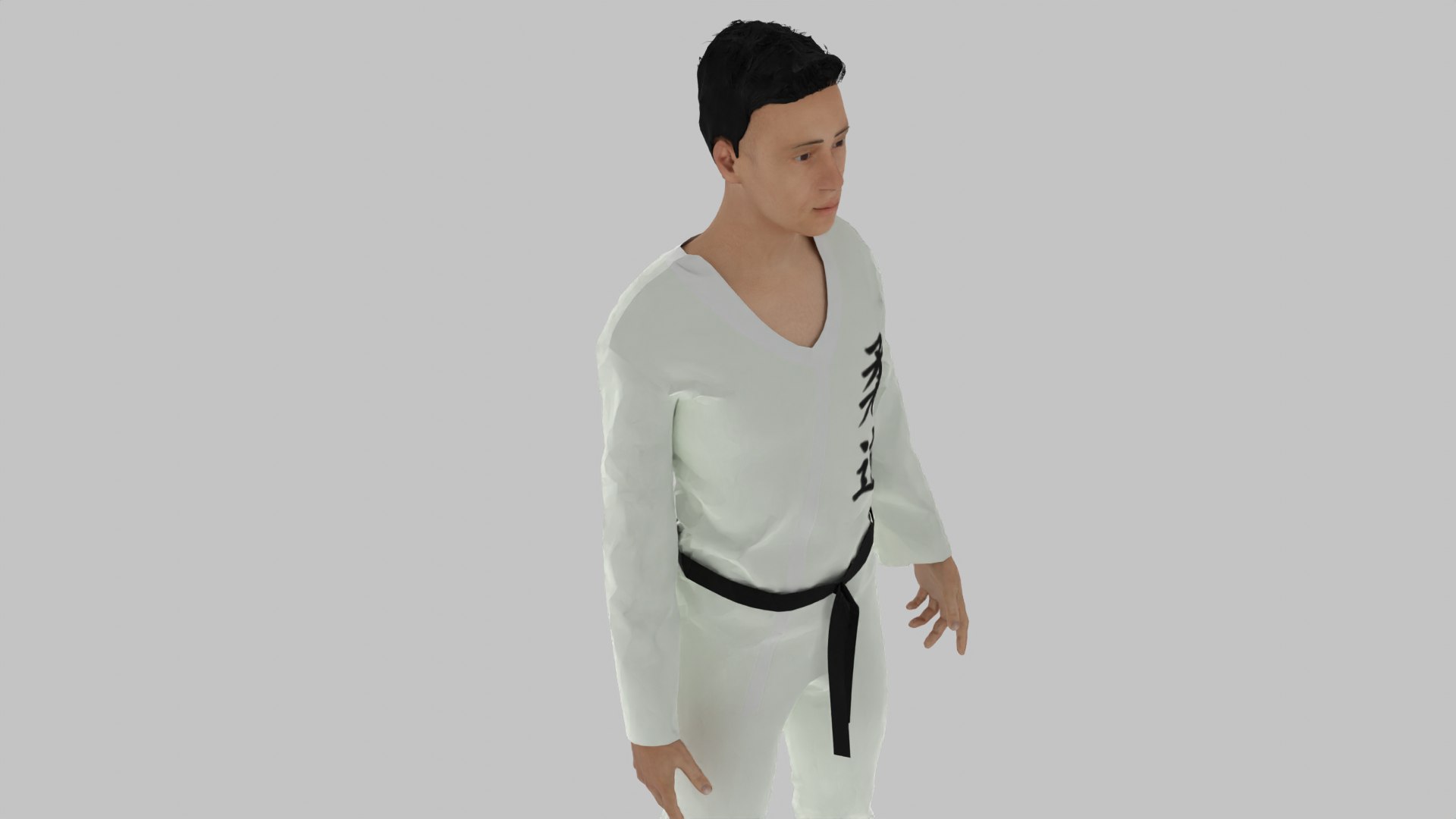 3D Karate Fighter Model - TurboSquid 1971052