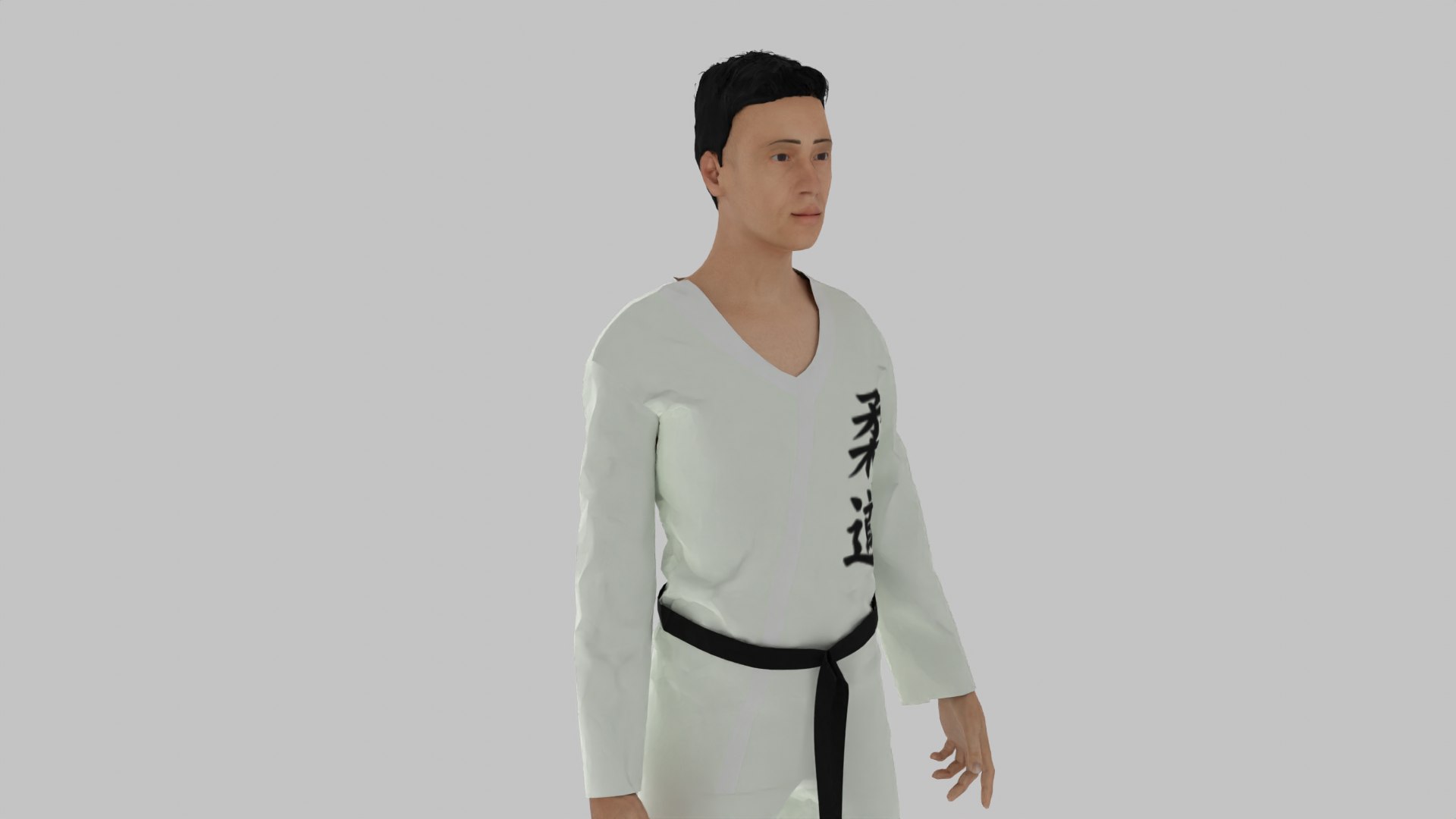 3D Karate Fighter Model - TurboSquid 1971052
