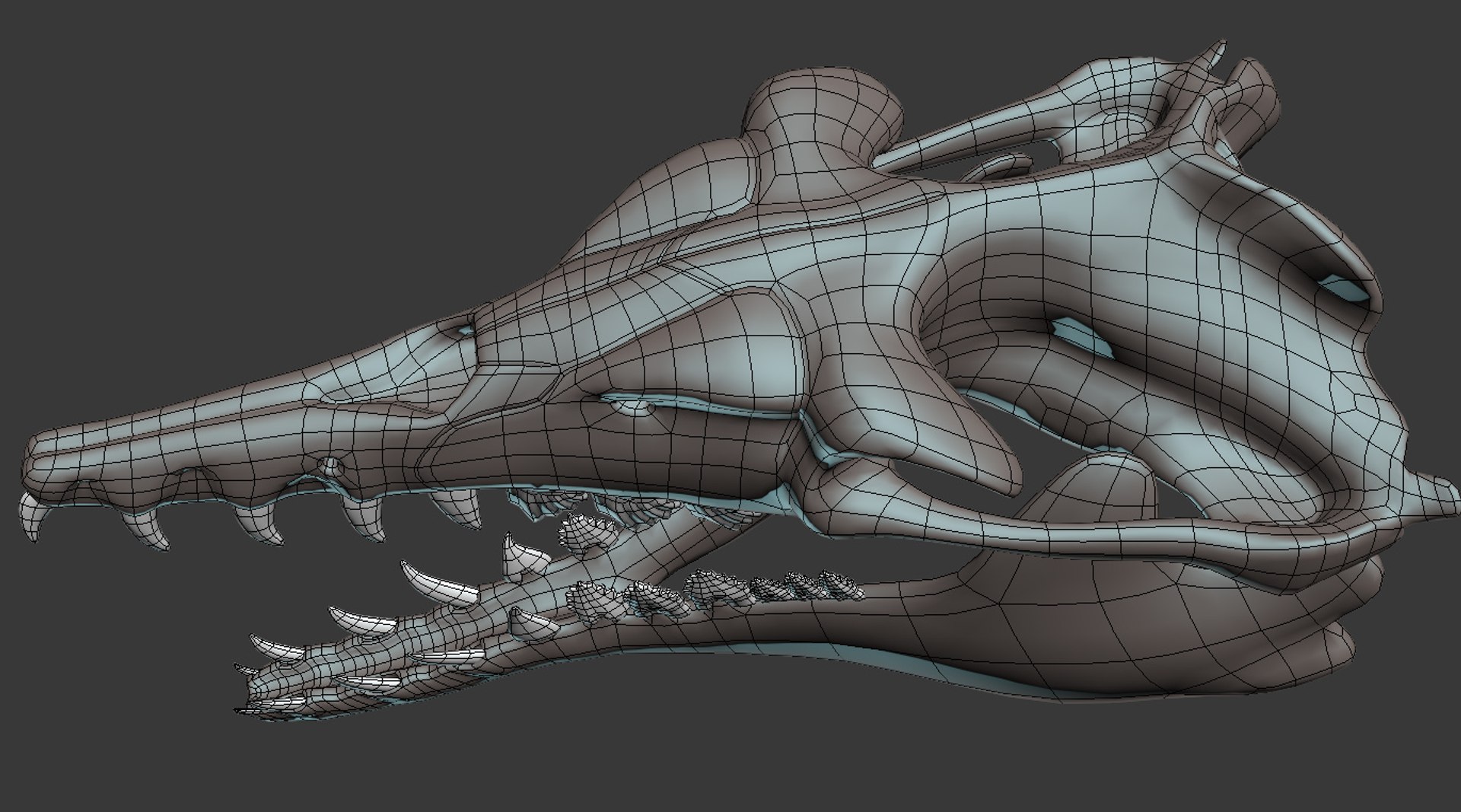 Basilosaurus Skull 3D Model - TurboSquid 1597162