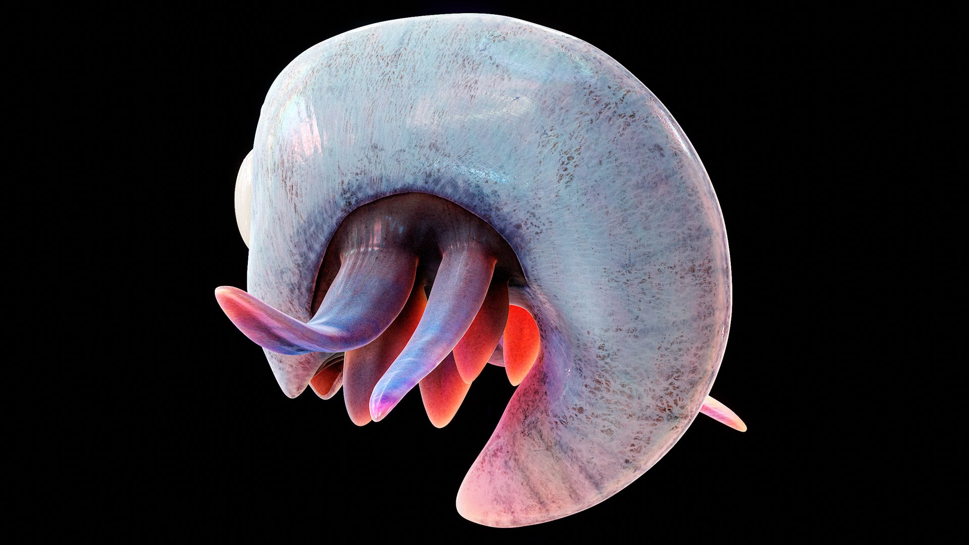 Alien Shrimp Parasite Creature PBR 3D - TurboSquid 2265466