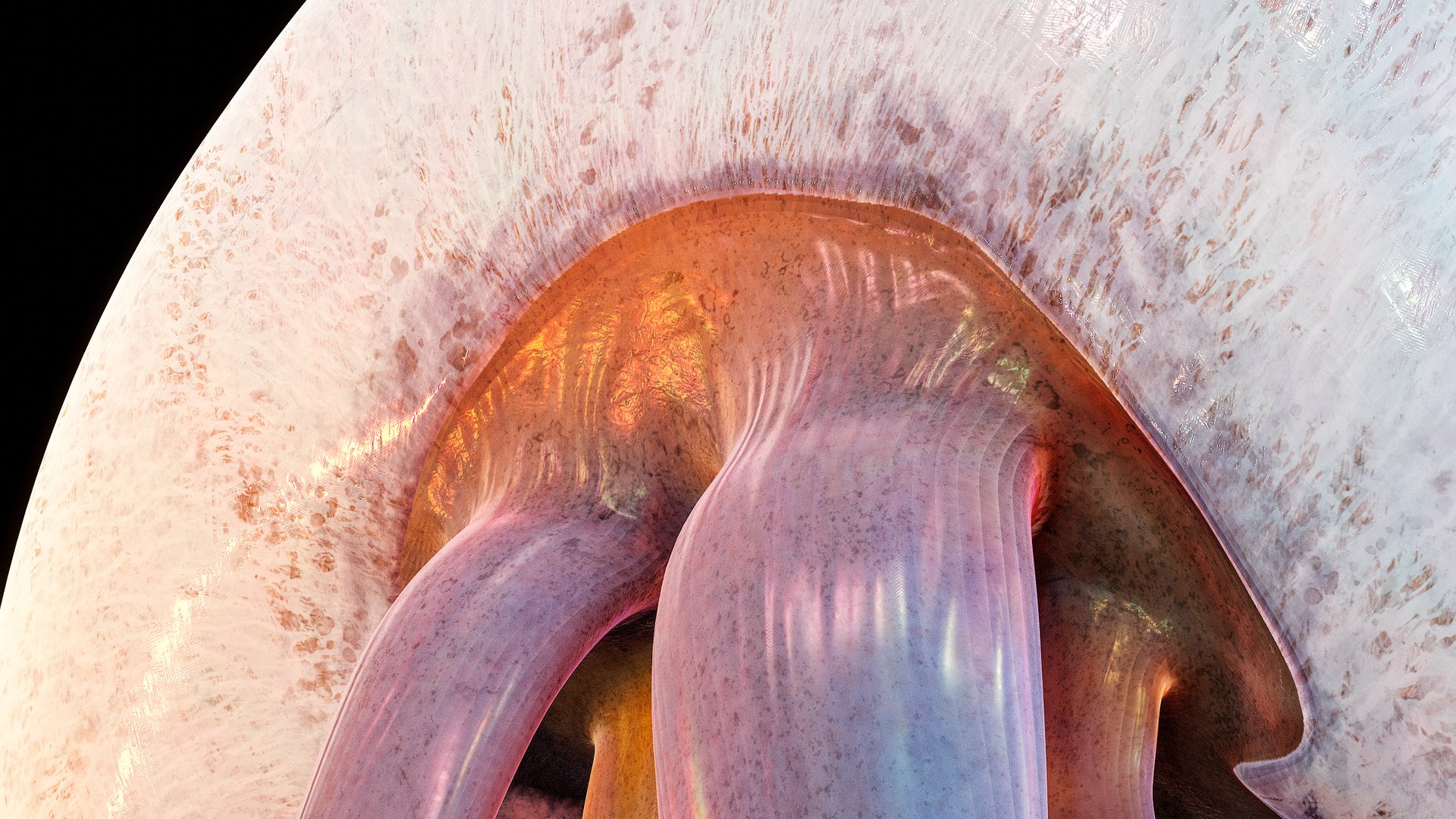 Alien Shrimp Parasite Creature PBR 3D - TurboSquid 2265466