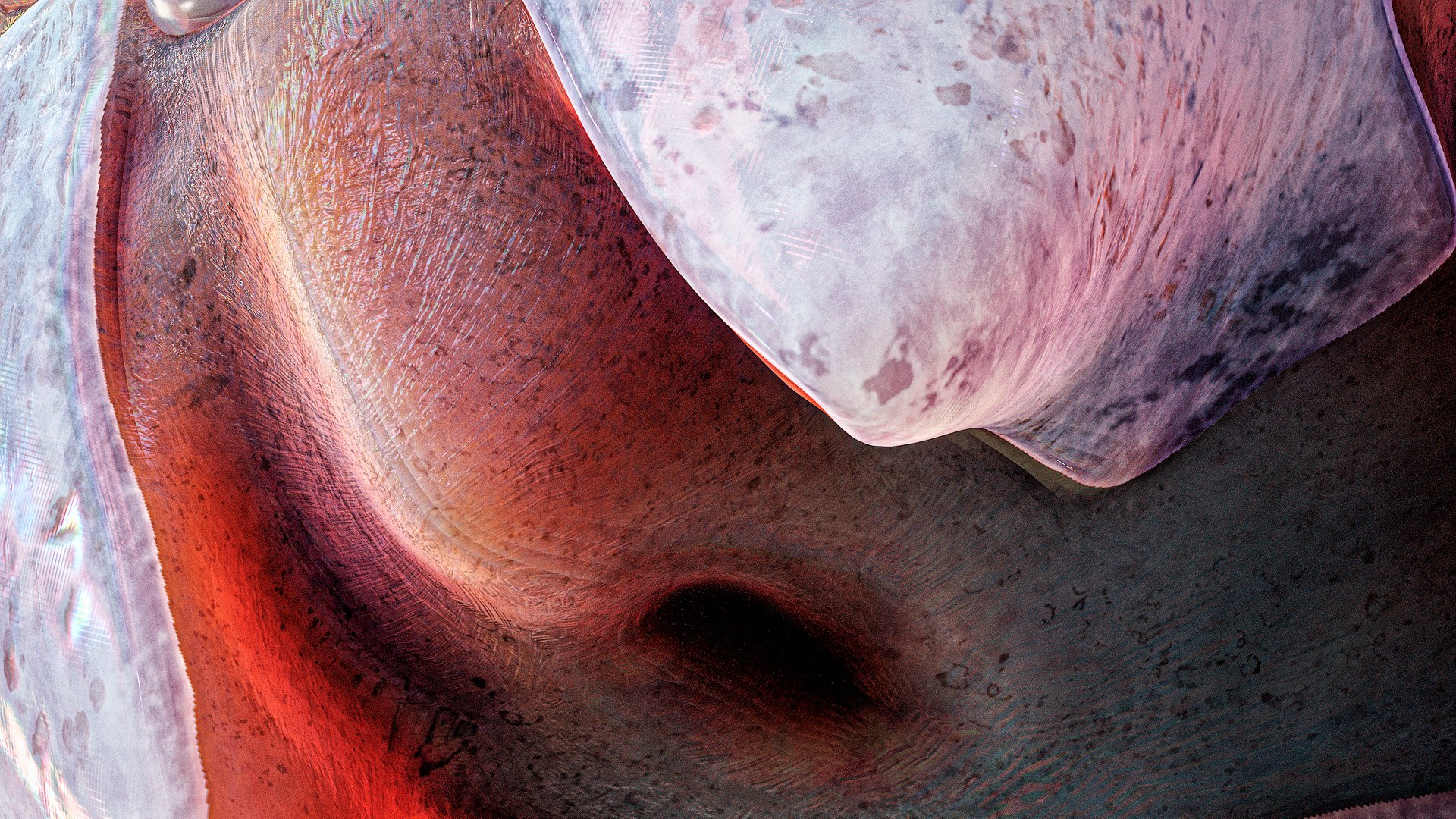 Alien Shrimp Parasite Creature PBR 3D - TurboSquid 2265466