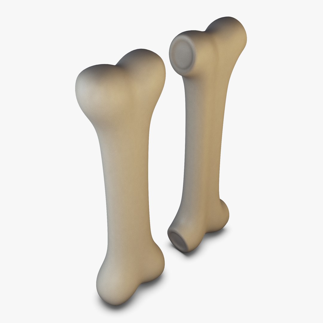Cartoon Bone v 2 3D - TurboSquid 1811068